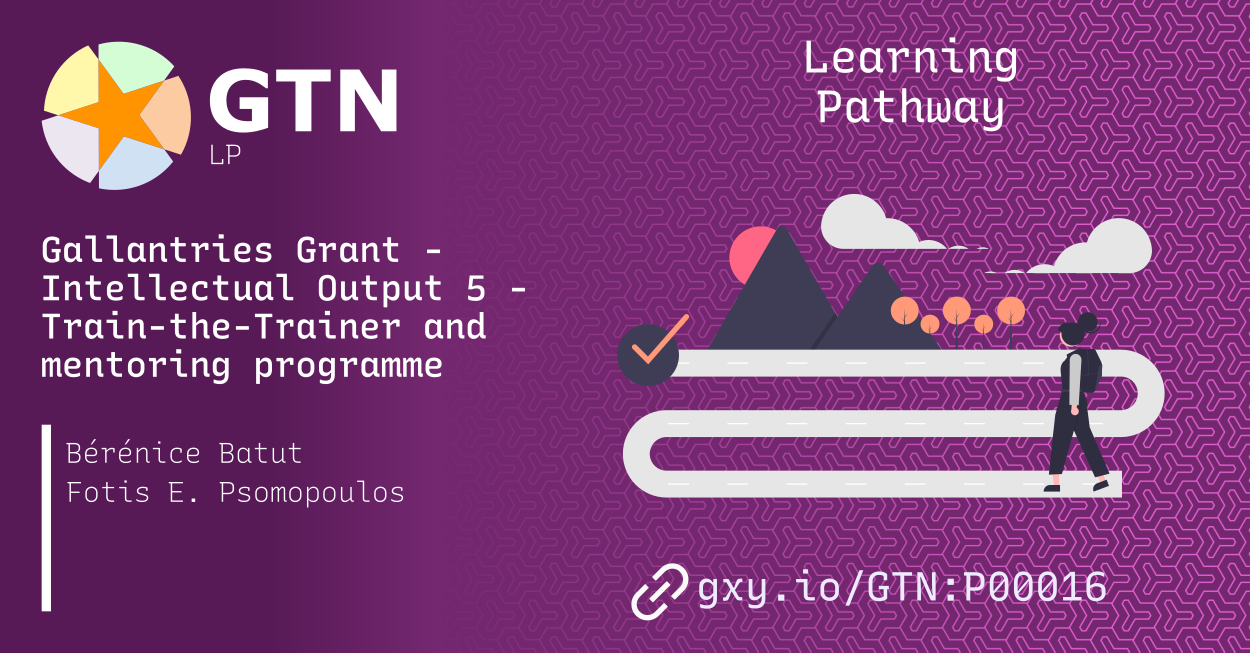 Learning Pathway: Gallantries Grant - Intellectual Output 5 - Train-the ...