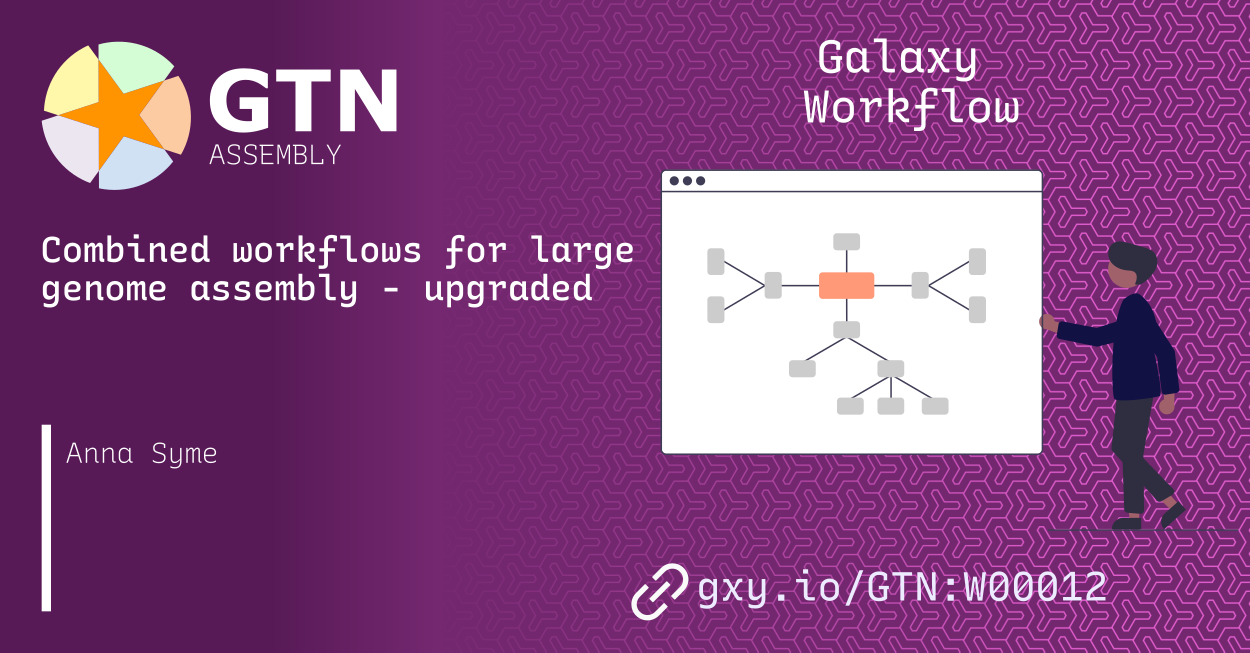 Combined workflows for large genome assembly - upgraded / Large genome assembly and polishing ...