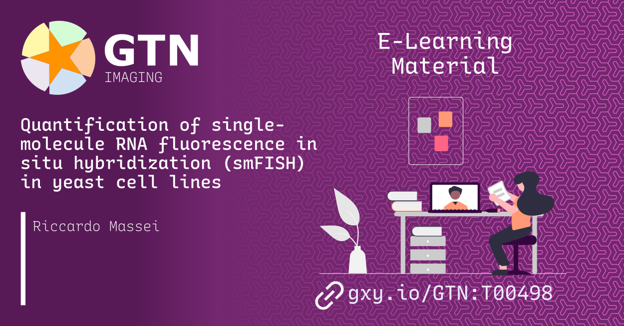 Hands-on: Quantification of single-molecule RNA fluorescence in situ ...