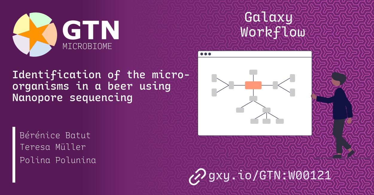 Identification of the micro-organisms in a beer using Nanopore sequencing / Identification of ...