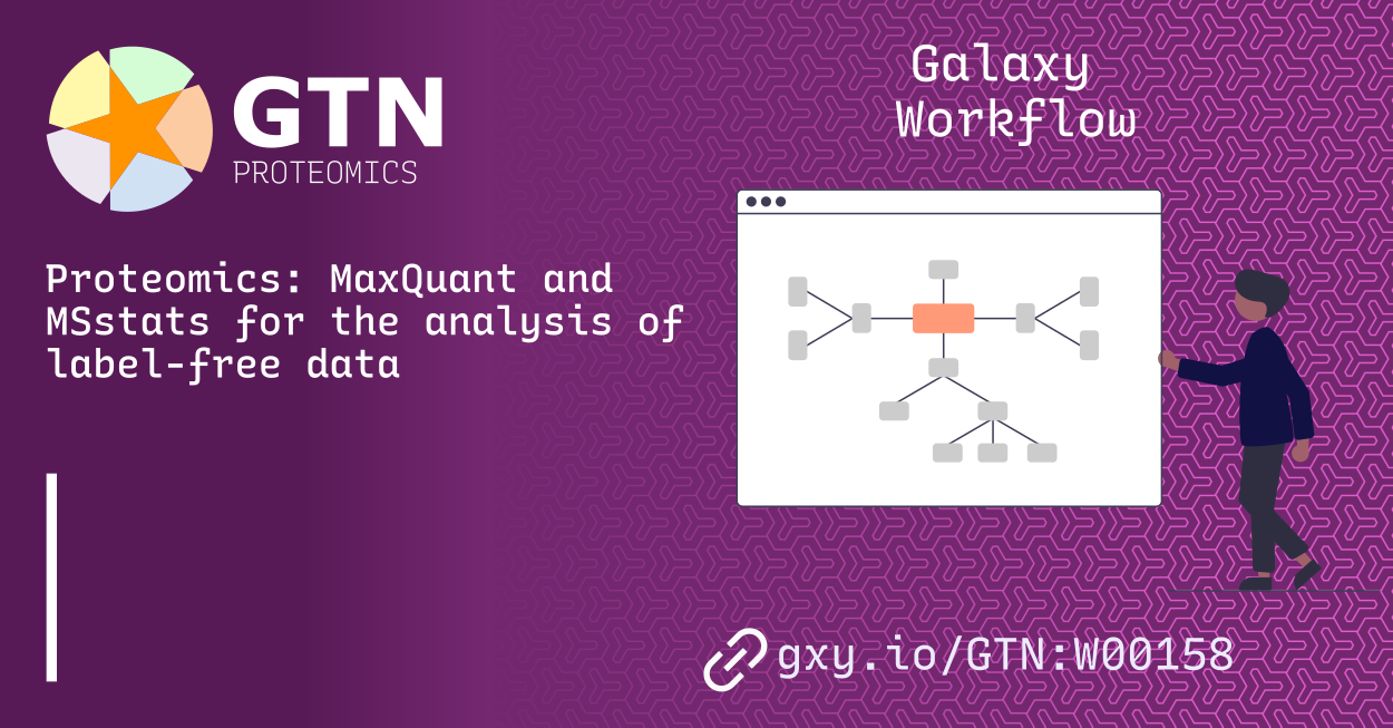 Proteomics: MaxQuant and MSstats for the analysis of label-free data ...