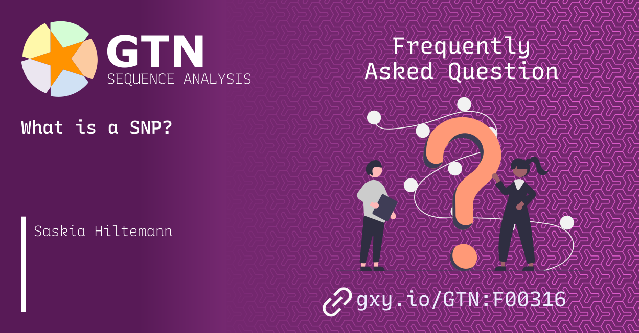 FAQ: What is a SNP? / Mapping / Sequence analysis