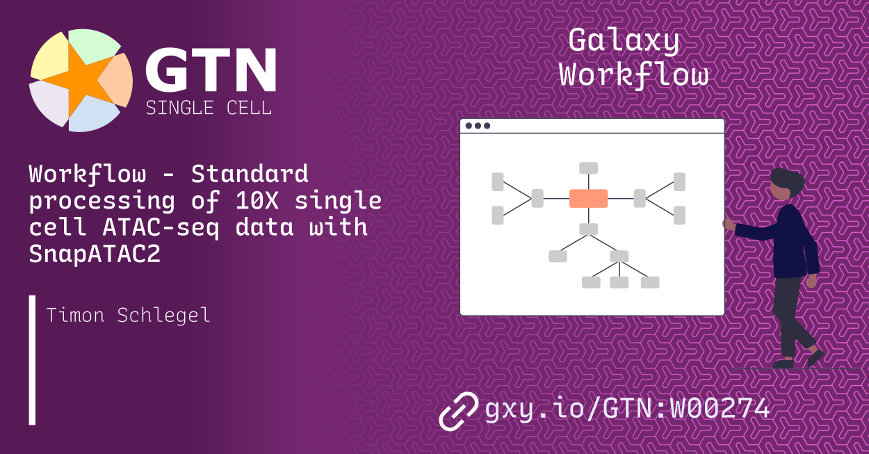 Workflow Standard Processing Of 10x Single Cell Atac Seq Data With Snapatac2 Single Cell