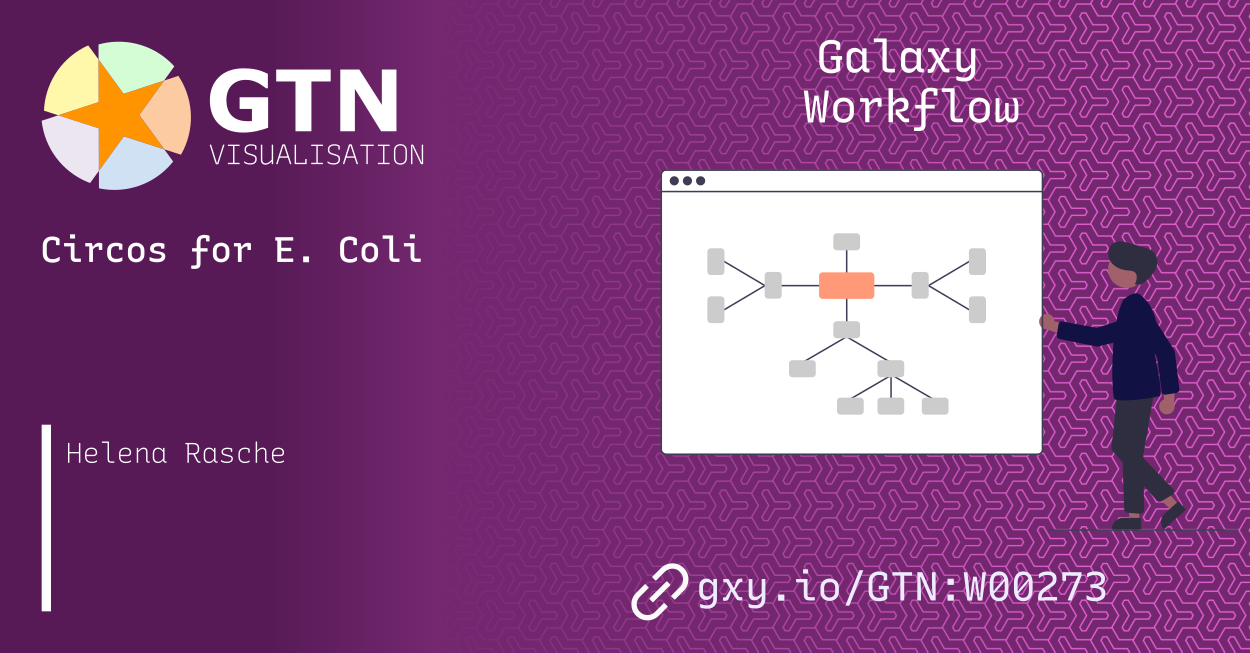 Circos for E. Coli / Ploting a Microbial Genome with Circos / Visualisation